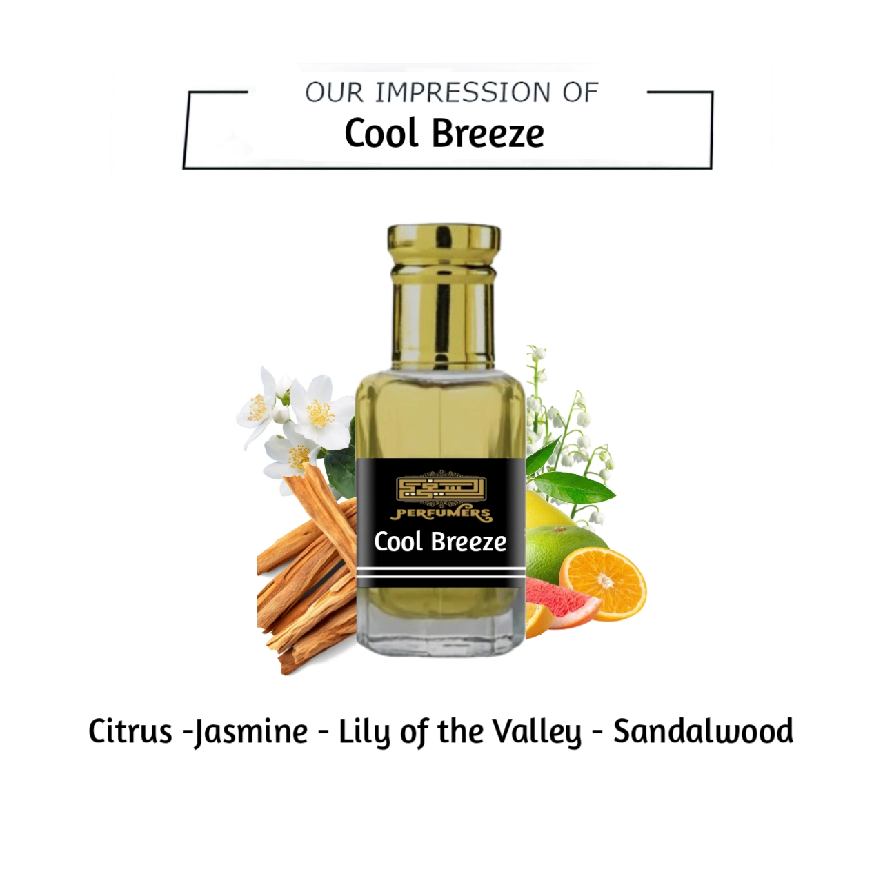 Cool Breeze Attar – Fresh Aquatic Concentrated Perfume - Get Your Stuff
